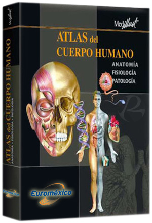 Atlas Anatomía Del Cuerpo Humano