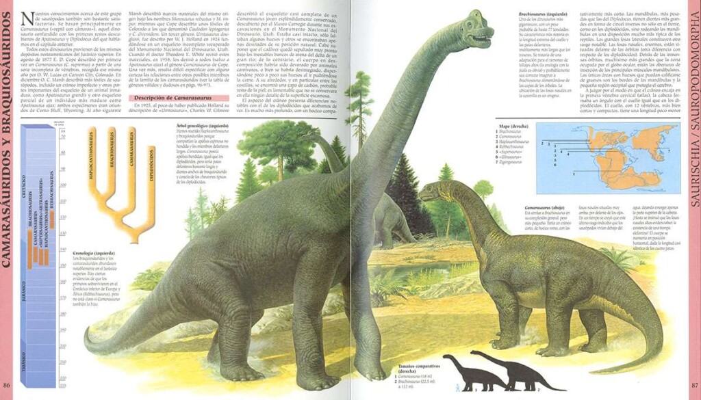 Atlas Ilustrado de los Dinosaurios - Libros MX