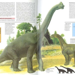 Atlas Ilustrado de los Dinosaurios - Libros MX