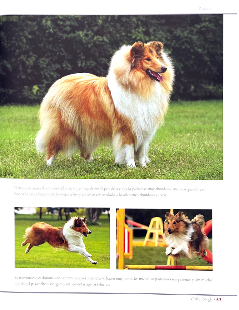 Enciclopedia de las Razas de Perros - Libros MX