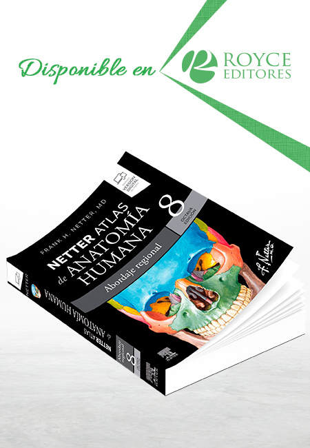 Netter Atlas de Anatomía Humana: Abordaje regional. 8a Edición - Libros MX