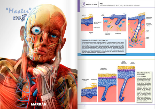 Master EVO 8 Anatomía con Embriología y Fisiología - Libros MX