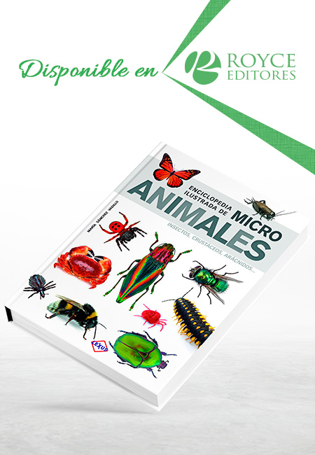 Enciclopedia Ilustrada de Micro Animales - Libros MX